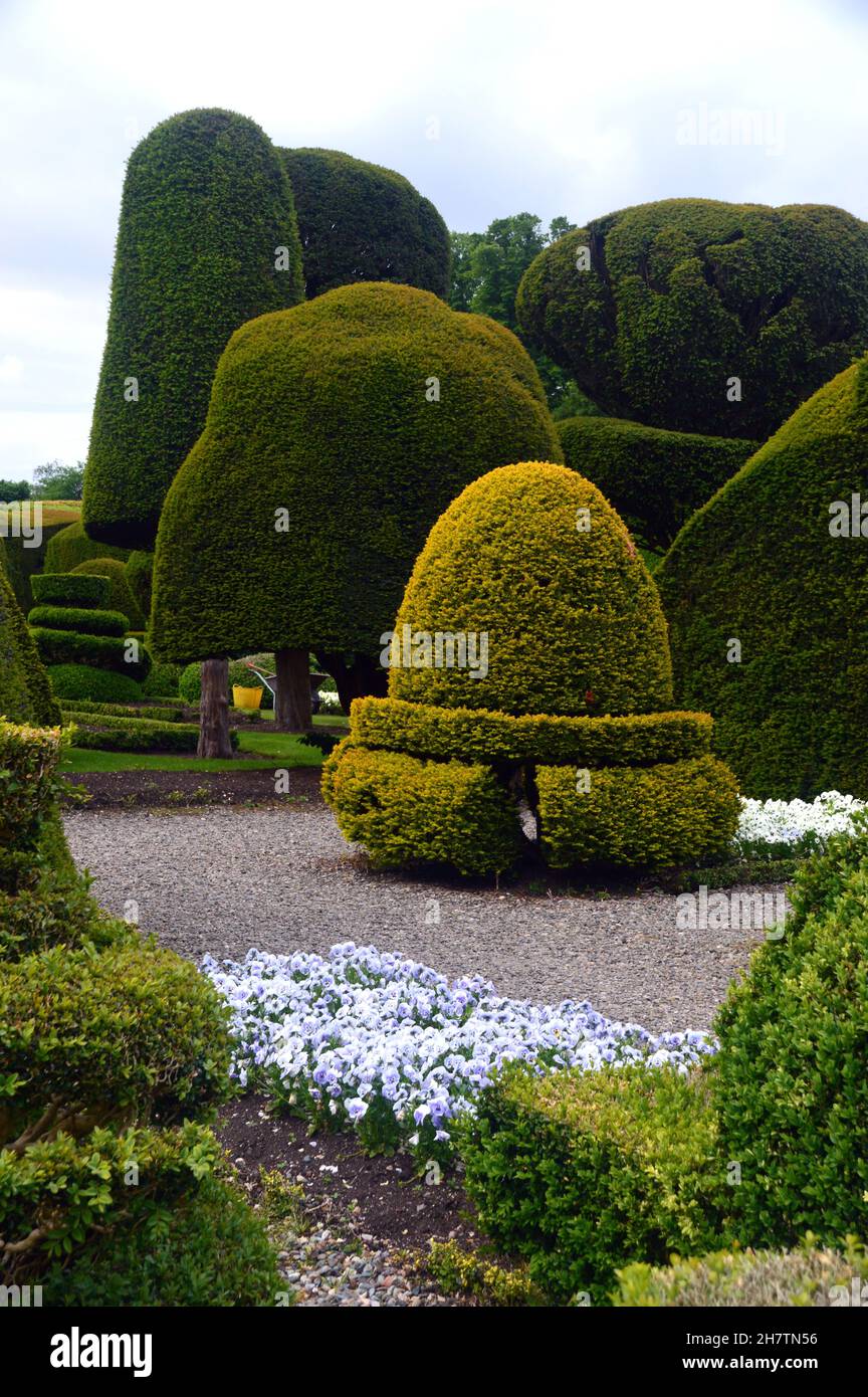 Topiary at Levens Hall & Gardens, Kendal, Lake District National Park ...