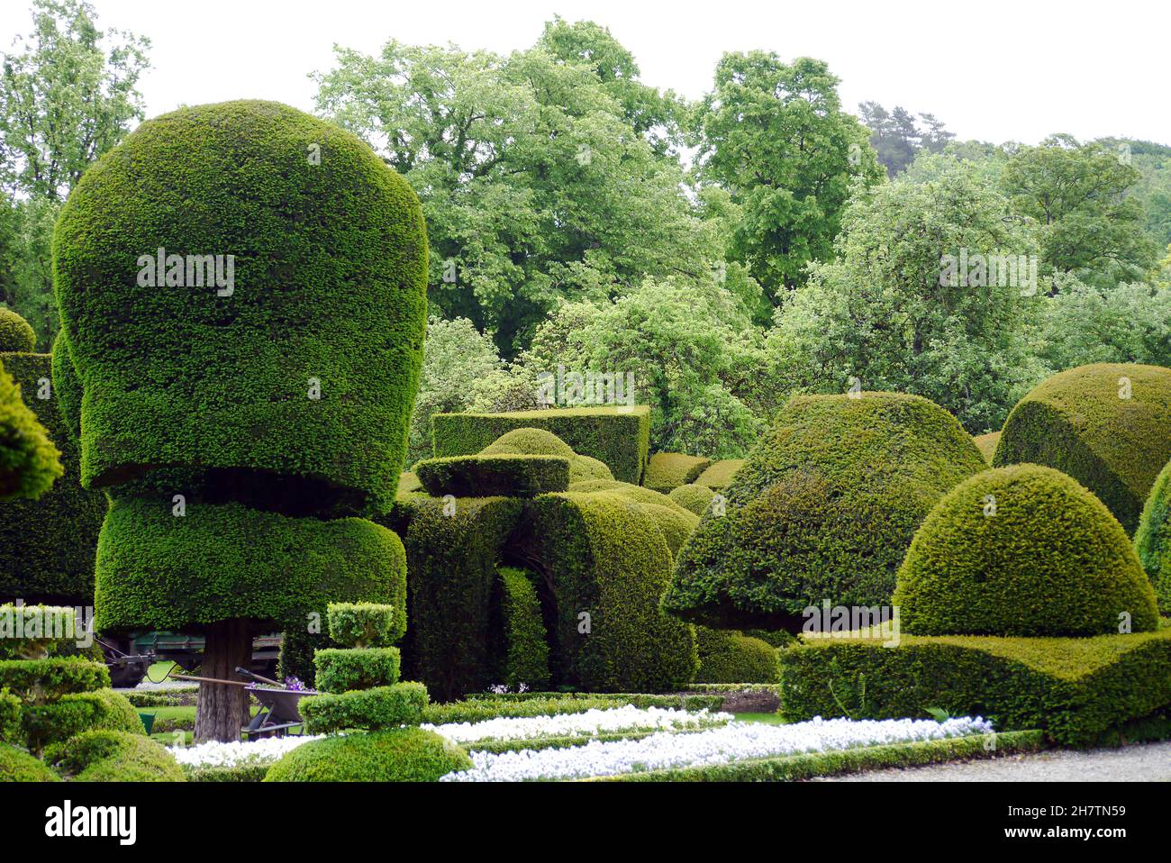 Topiary at Levens Hall & Gardens, Kendal, Lake District National Park ...