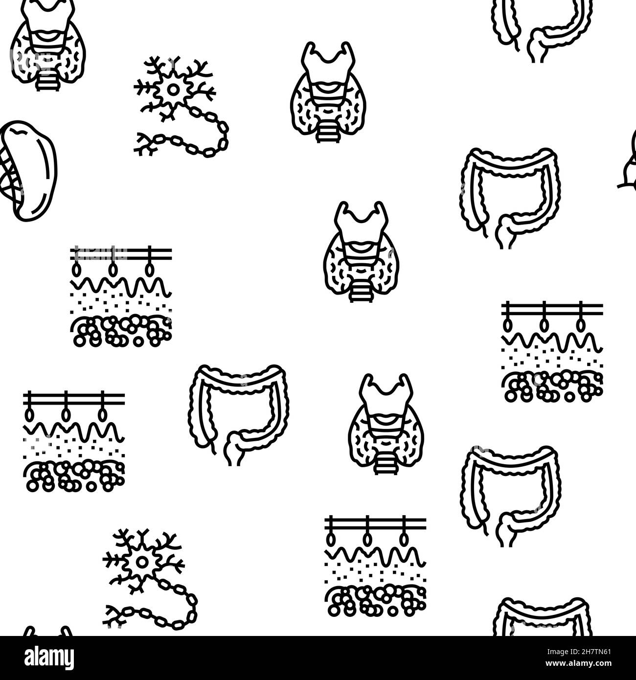 Human Internal Organ Anatomy Vector Seamless Pattern Stock Vector Image ...