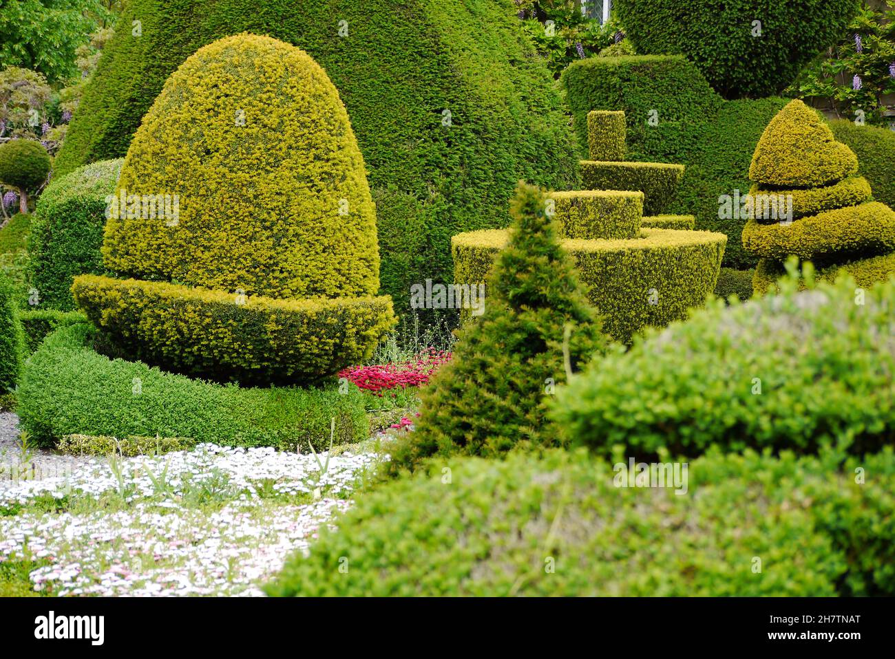 Topiary at Levens Hall & Gardens, Kendal, Lake District National Park ...