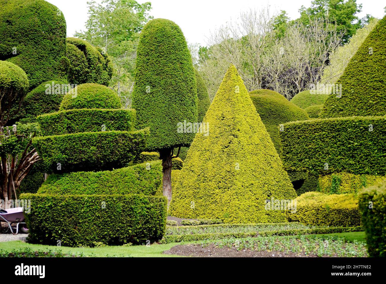 Topiary at Levens Hall & Gardens, Kendal, Lake District National Park ...