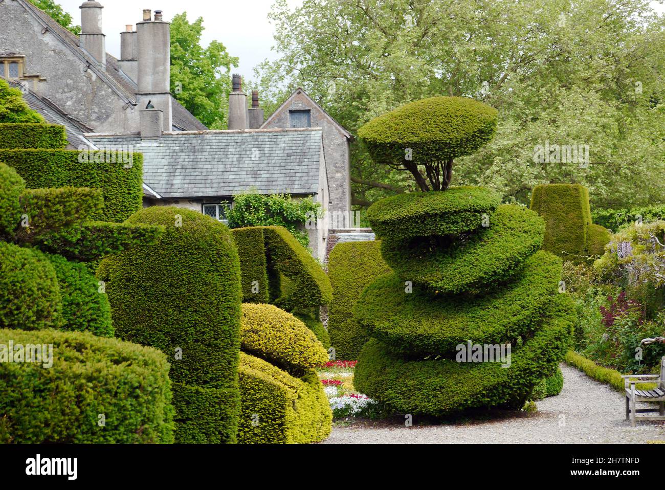 Topiary at Levens Hall & Gardens, Kendal, Lake District National Park ...