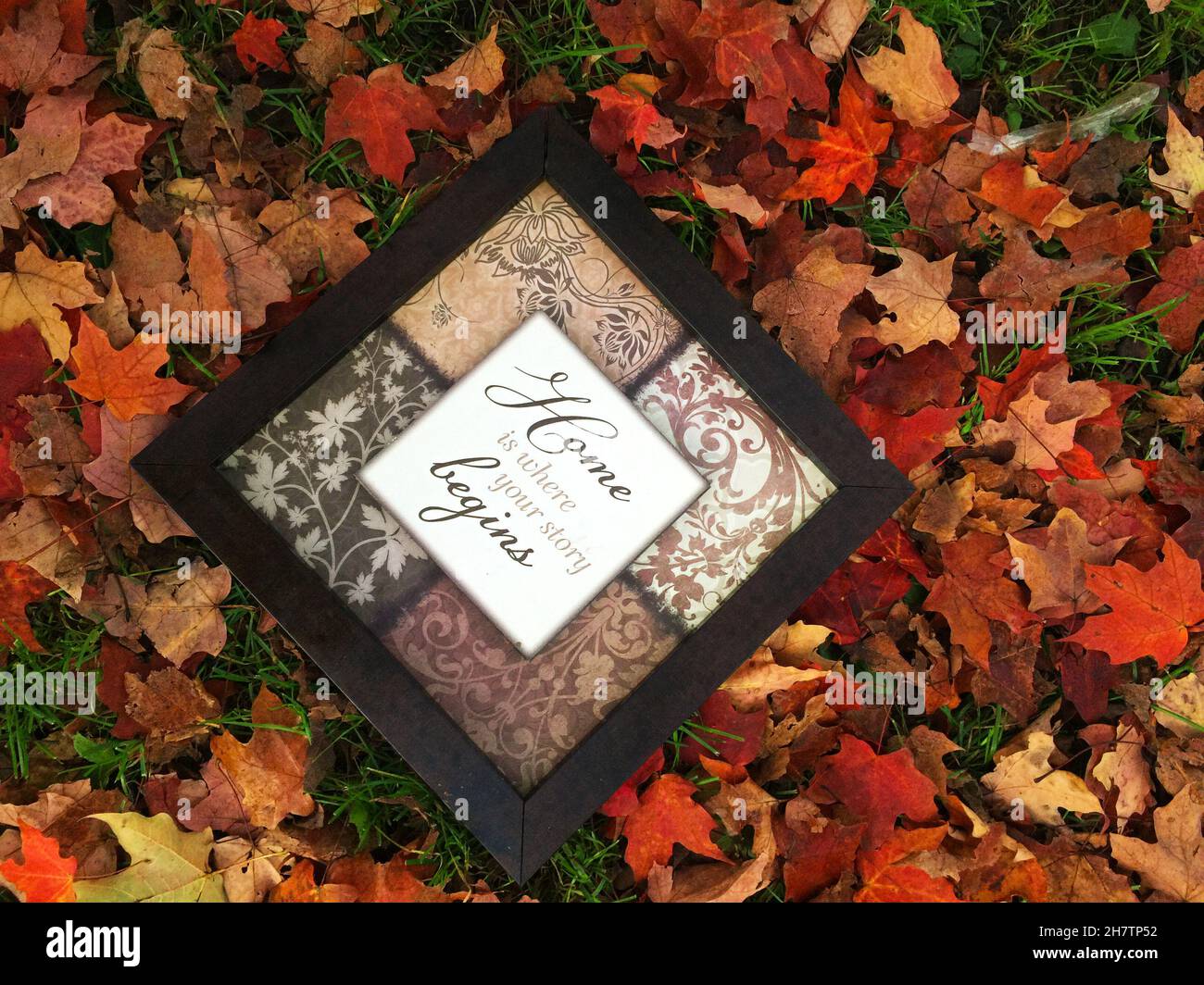 Inspirational message surrounded by autumn leaves, Ontario, Canada ...