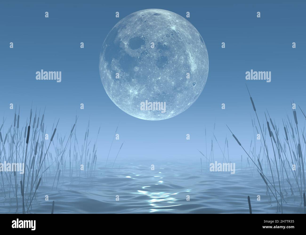 An unusual large moon in the misty twilight over the water with reeds ...