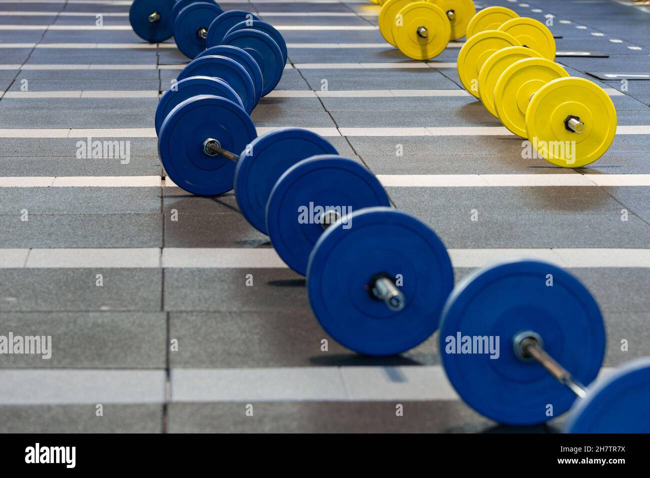 Groups of Fitness Barbells with Blue and Yellow Disks Stock Photo - Alamy