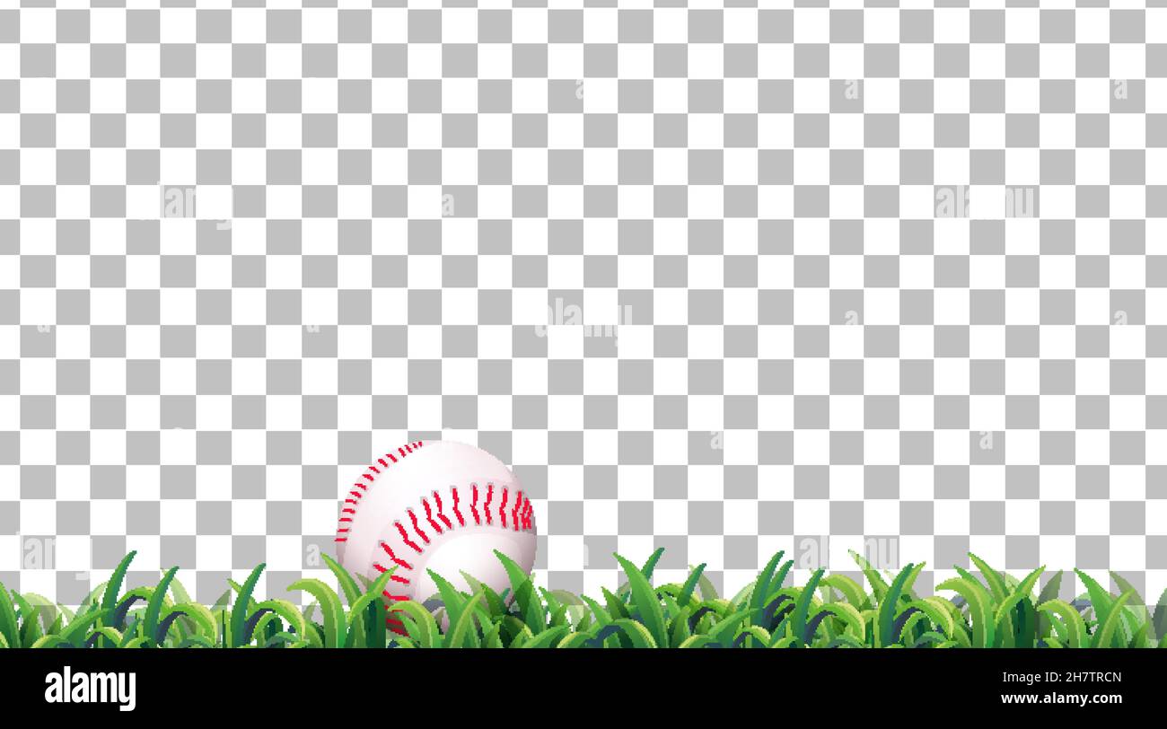 Baseball No Background