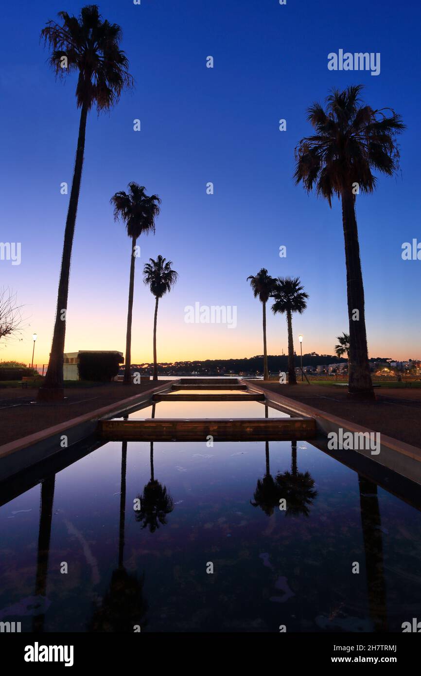Palm tree reflection ,Antibes, Alpes-Maritimes, 06, cote d'Azur, PACA ...