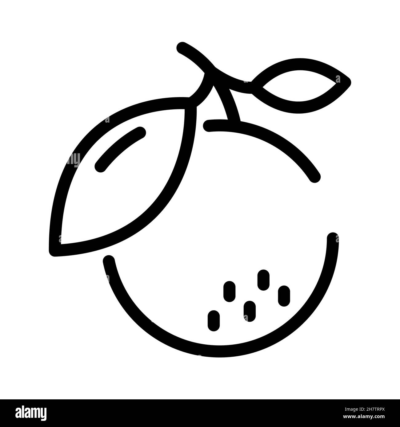 Orange flat icon. Pictogram for web. Line stroke. Isolated on white ...