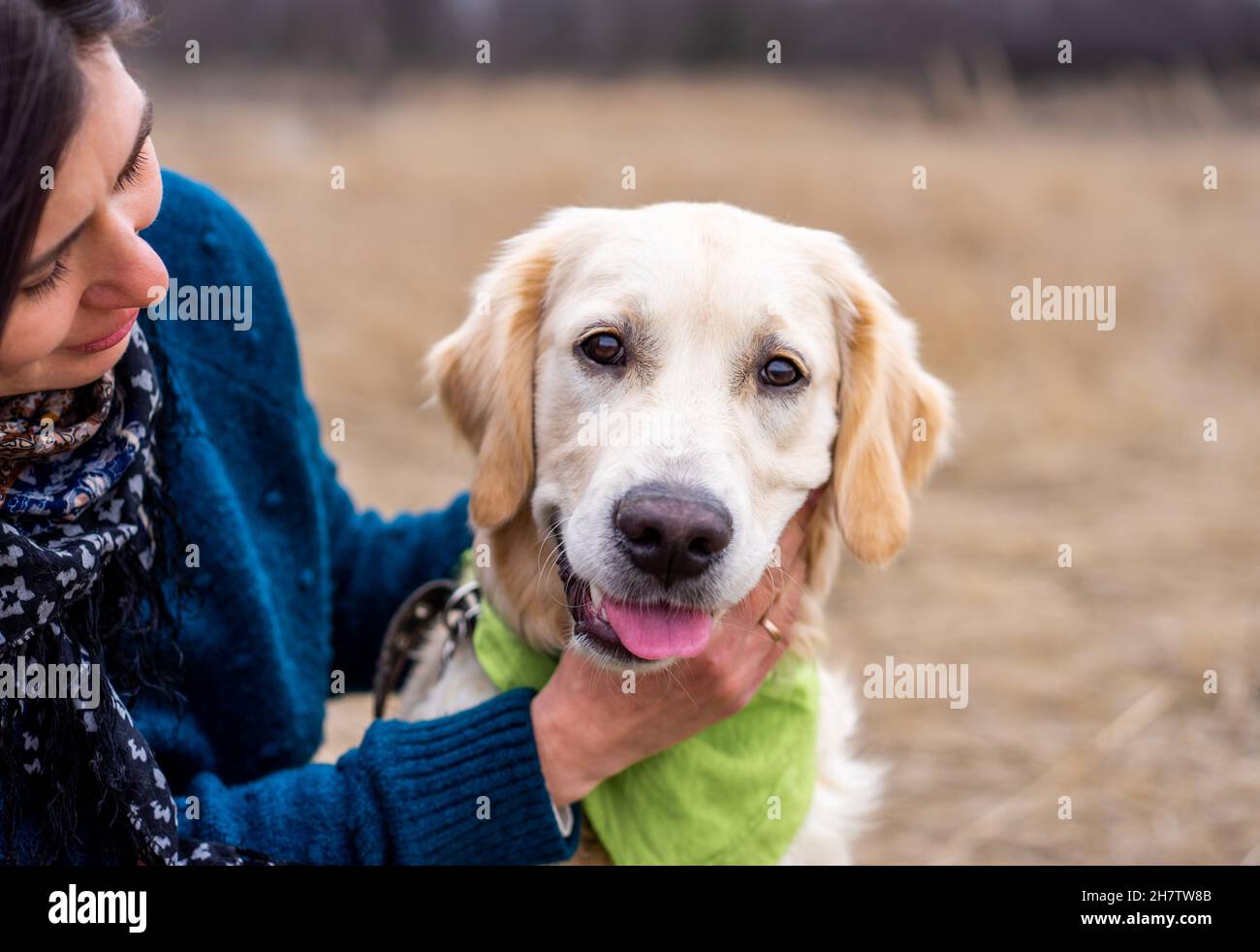 Adorable dog with lovely owner Stock Photo - Alamy