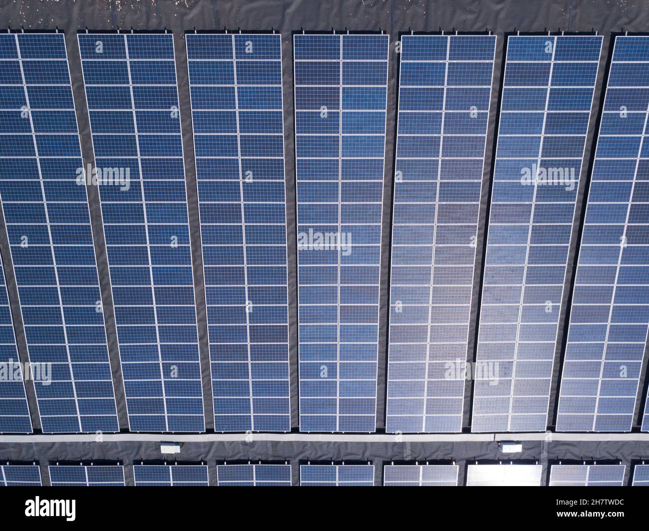 Blue Solar Panels isolated for solar energy Stock Photo - Alamy