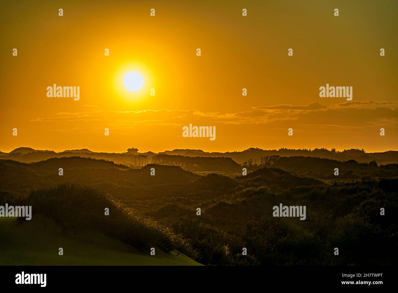 Moving sand dunes in the Danish desert at sunset. Råbjerg Mile, Skagen ...