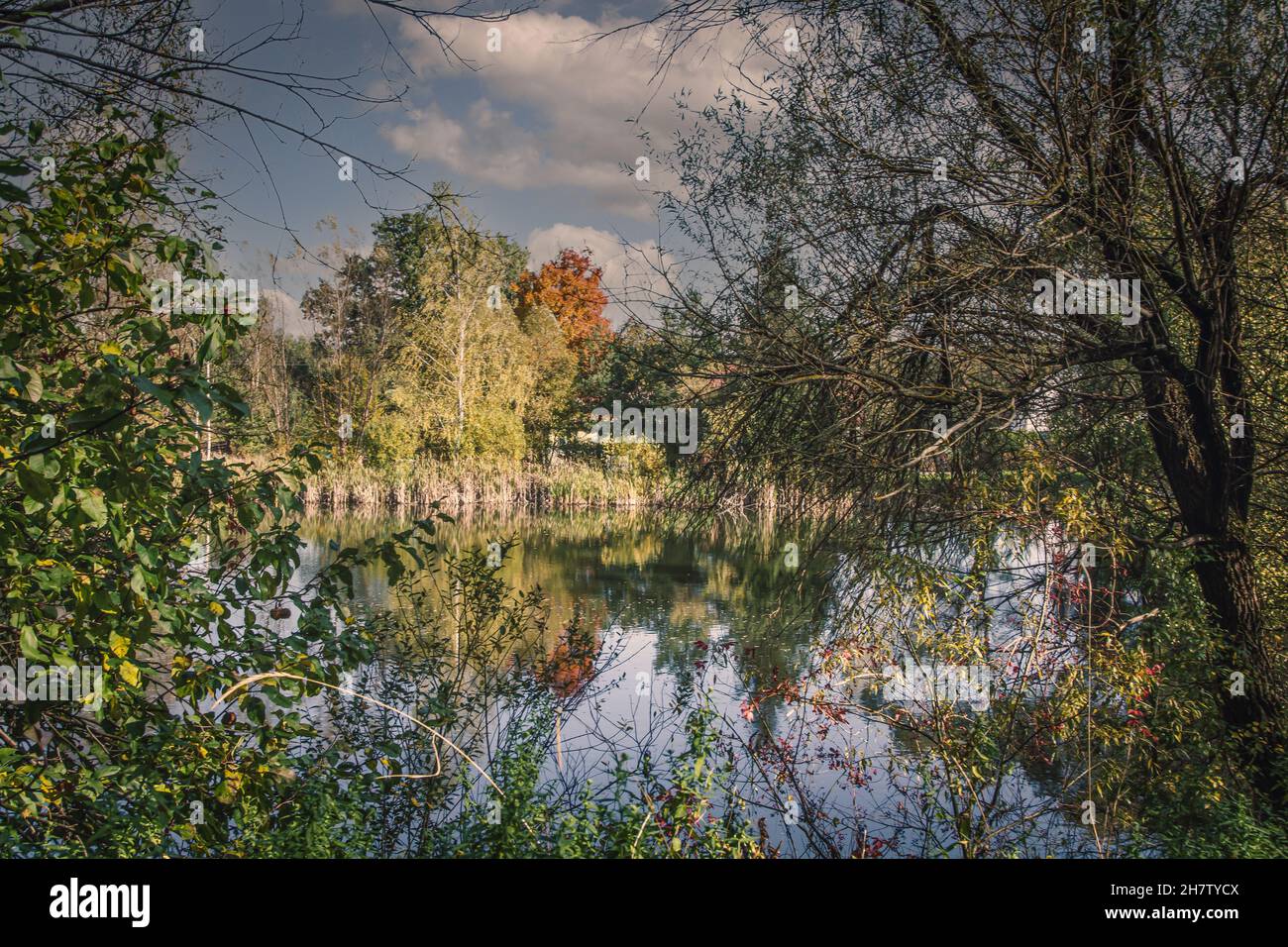 Autumn colors in sleepy nature, Poland Stock Photo - Alamy