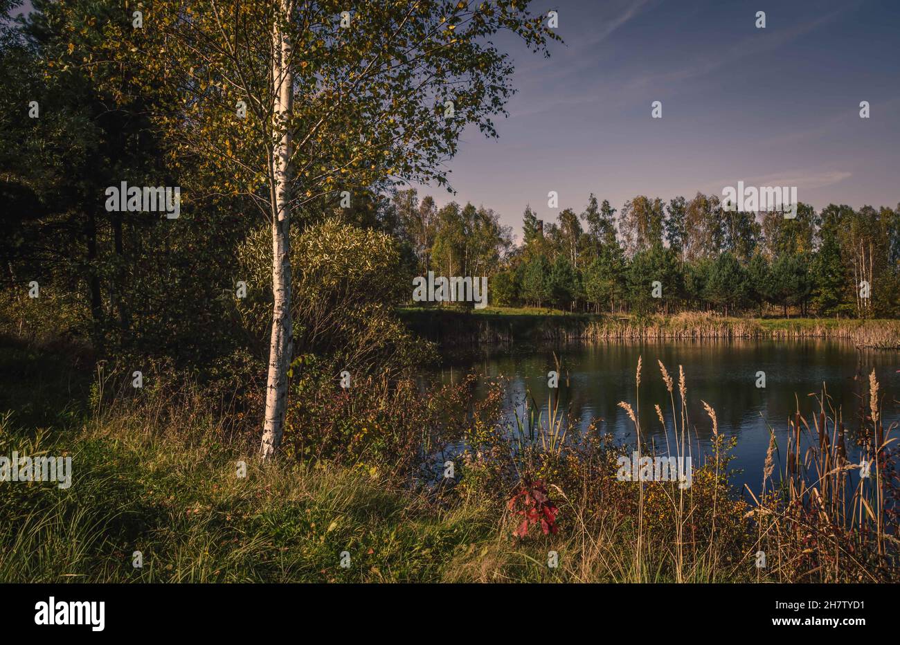 Autumn colors in sleepy nature, Poland Stock Photo - Alamy