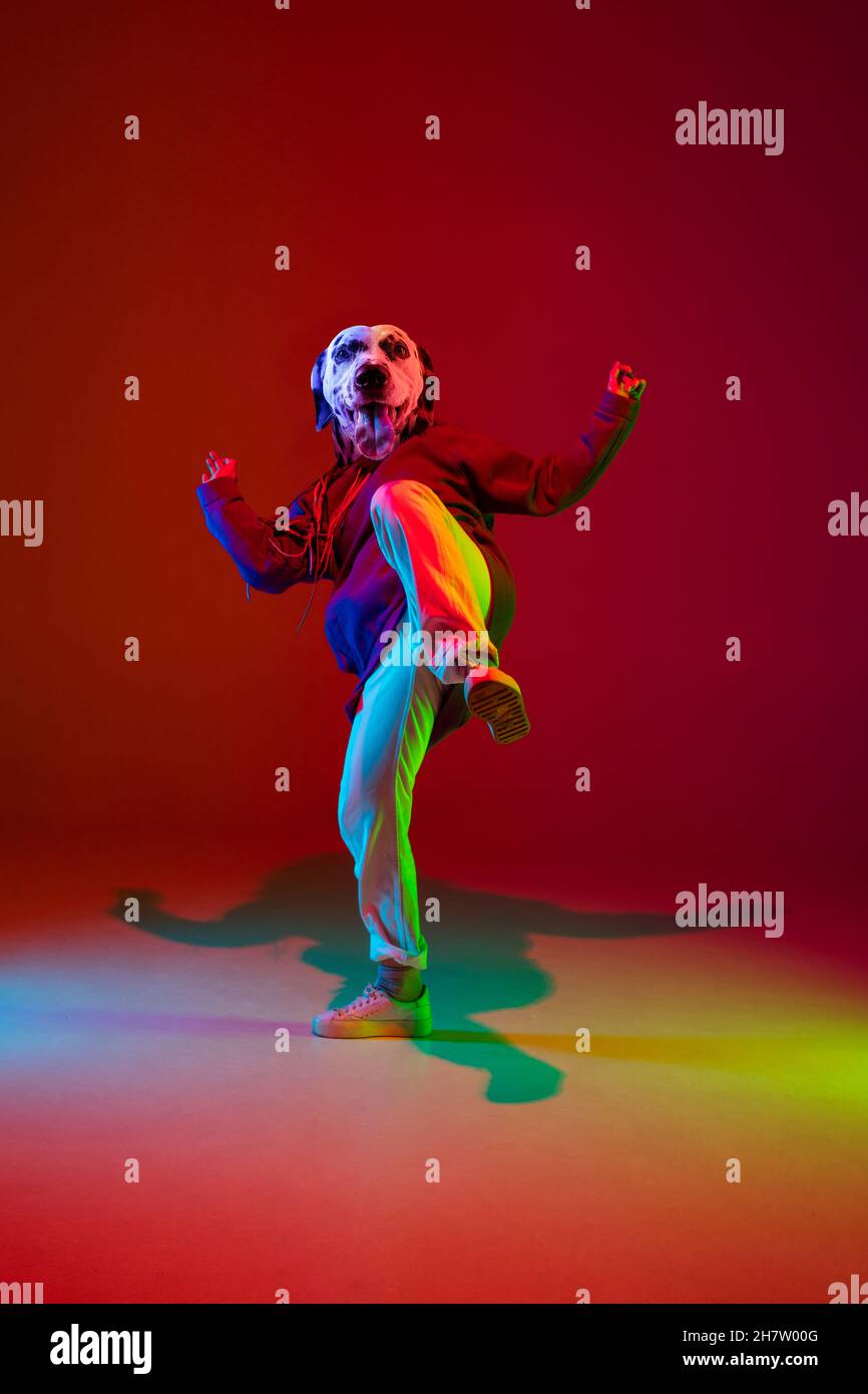 Contemporary collage. One hip hop dancer headed of dog's head dancing ...