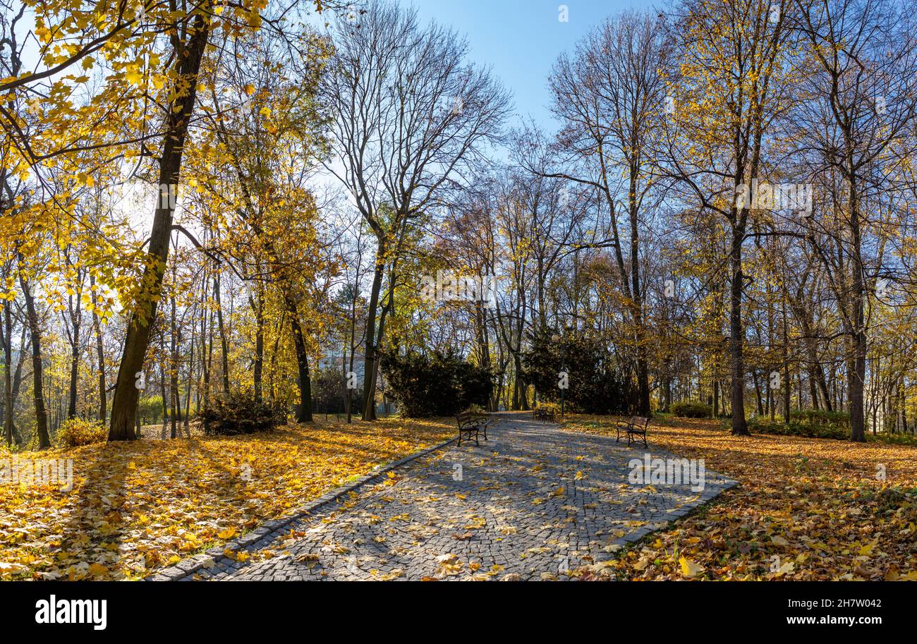A picture of the Saxon Garden in the fall Stock Photo - Alamy
