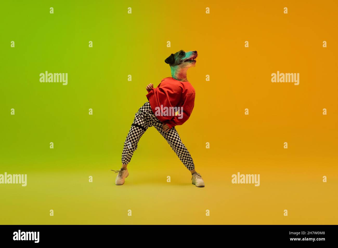 Dynamic portrait of woman, hip hop dancer headed of dog's head dancing ...