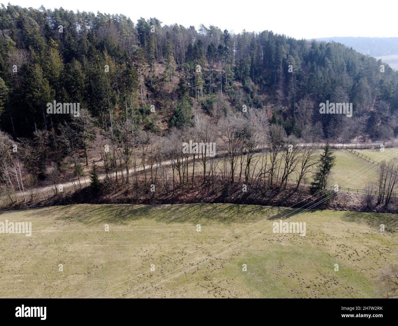 Aerial view of forest trees and meadow Stock Photo - Alamy