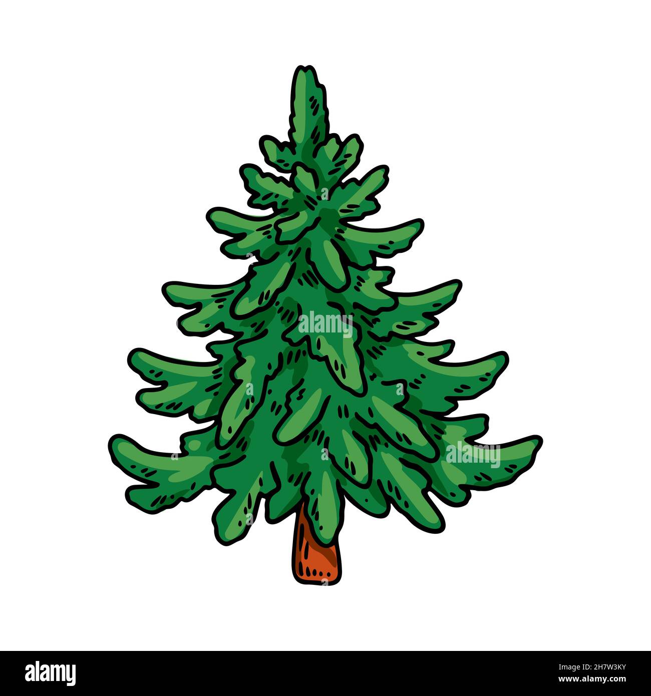 Hand drawn tree fir Stock Vector Images - Alamy
