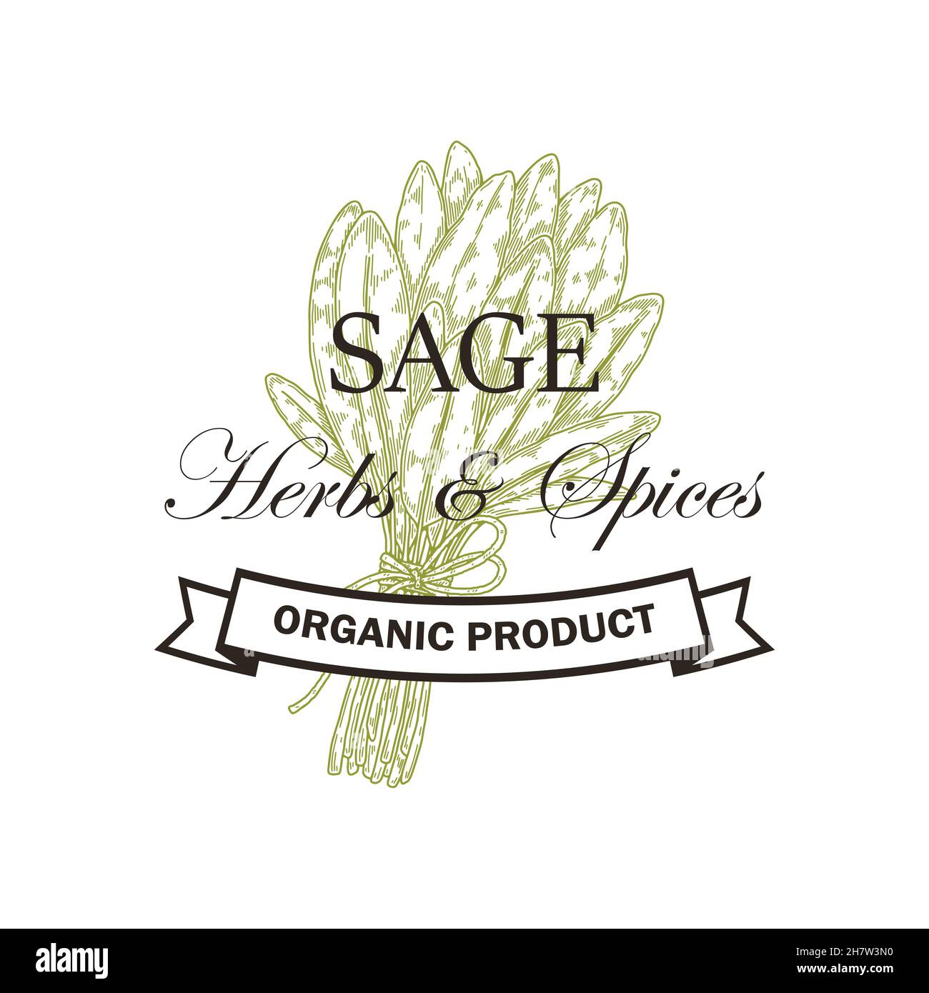 Sage leaf logo Cut Out Stock Images & Pictures - Alamy