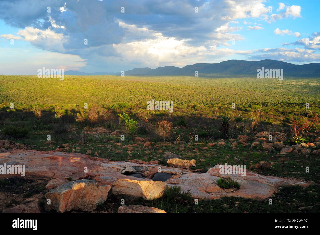 The landscape in Limpopo comes alive during the rainy season as farmers ...