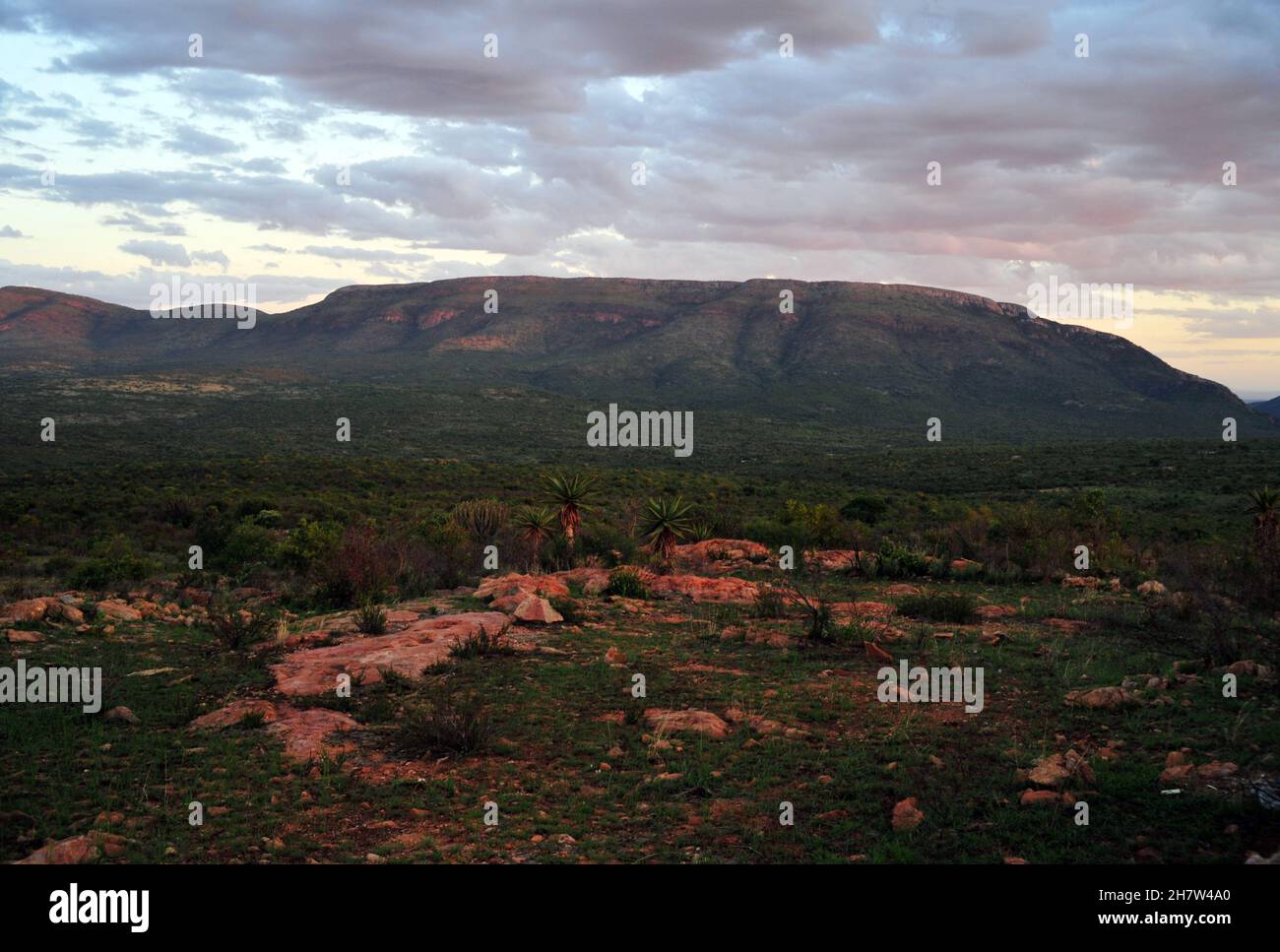 The landscape in Limpopo comes alive during the rainy season as farmers ...