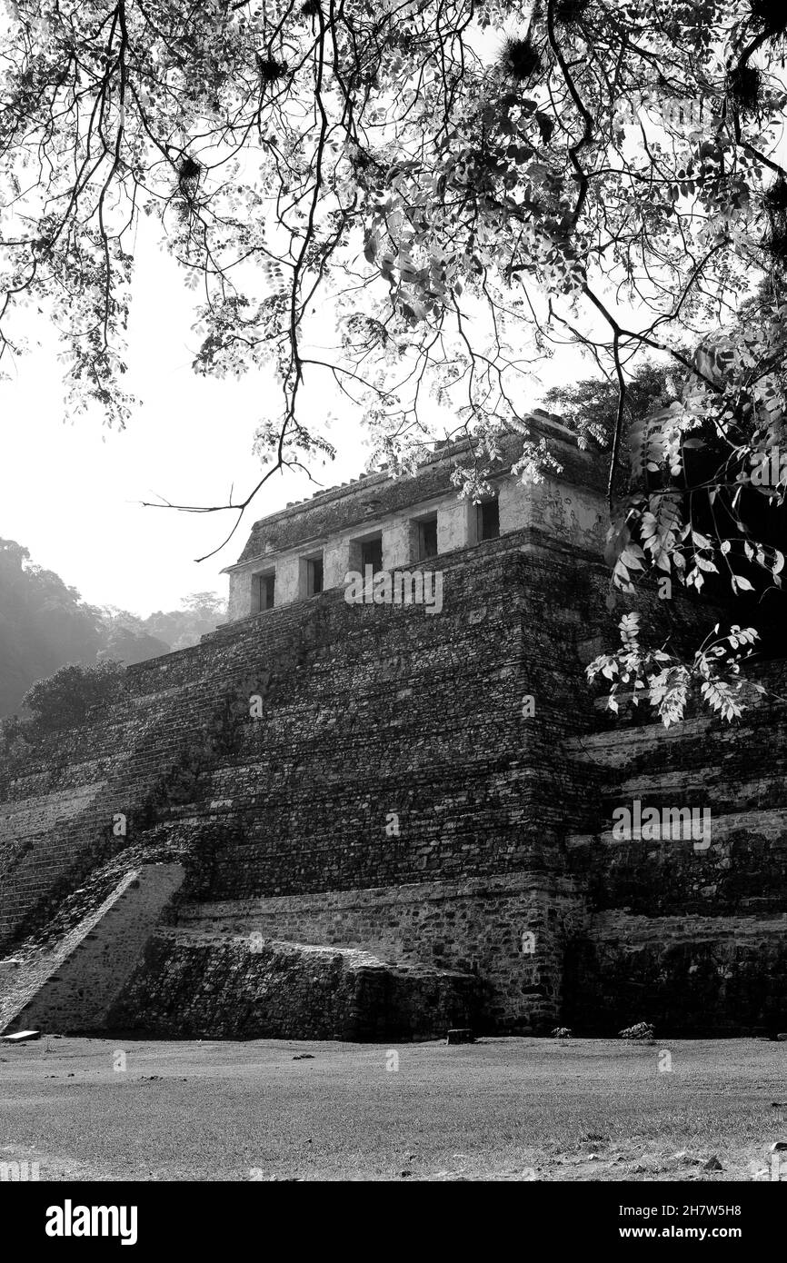 Temple of the Inscriptions at Palenque, Chiapas, Mexioc is an ancient ...