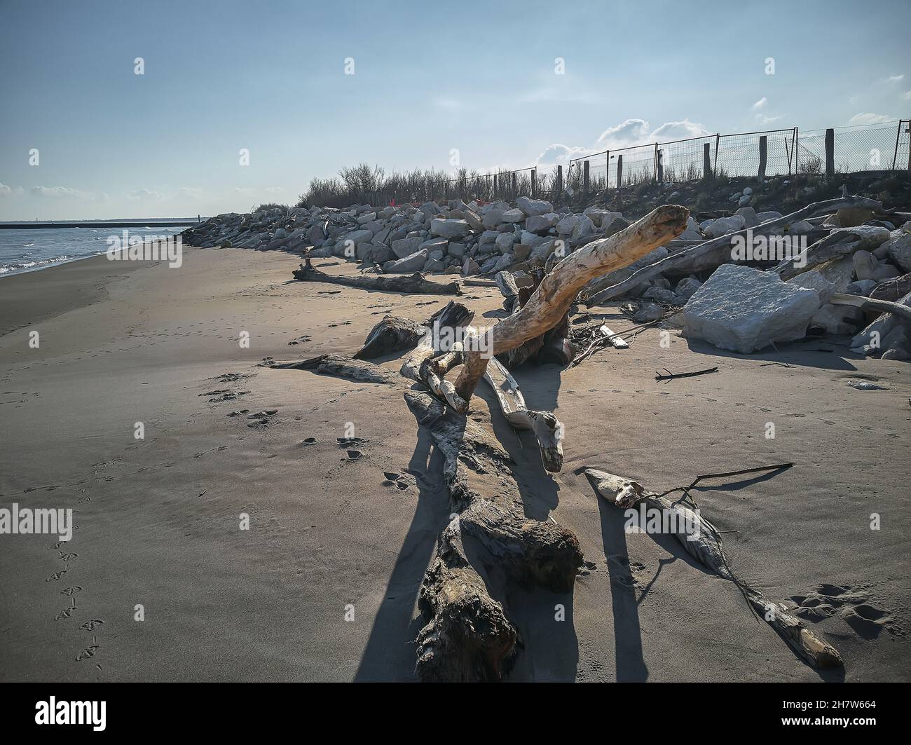 Debris carried by the sea hi-res stock photography and images - Alamy