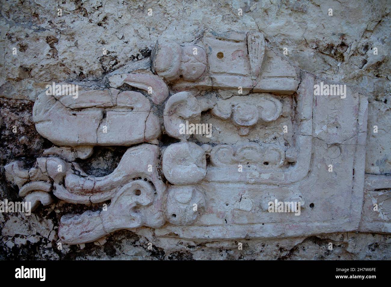 ancient mayan bas relief carvings and sculpture located on The palace ...