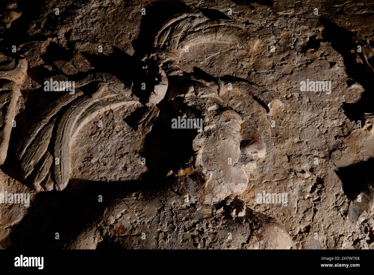 ancient mayan bas relief carvings and sculpture located on The palace ...