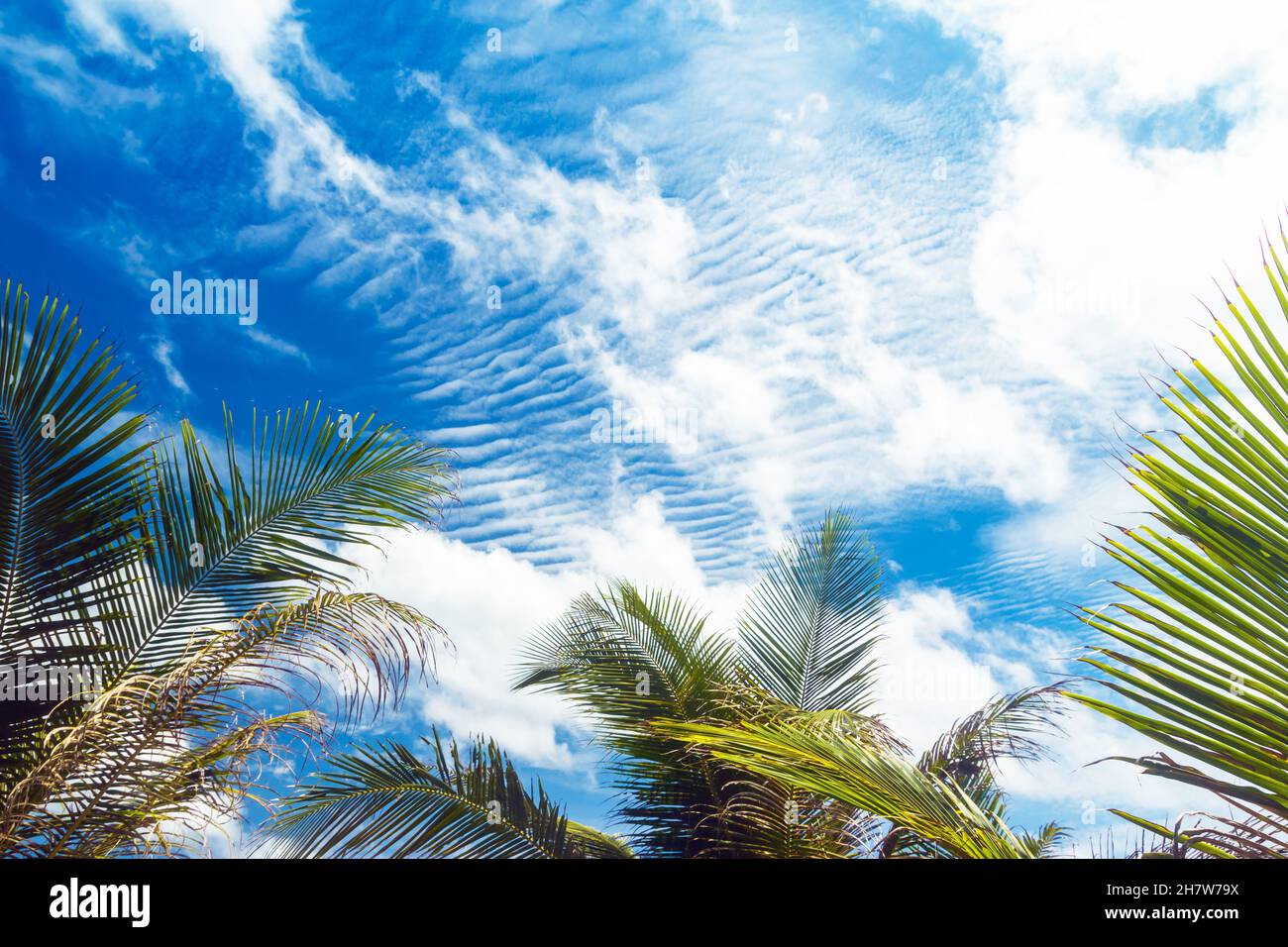 Tropical summer for rest and relaxation Stock Photo - Alamy