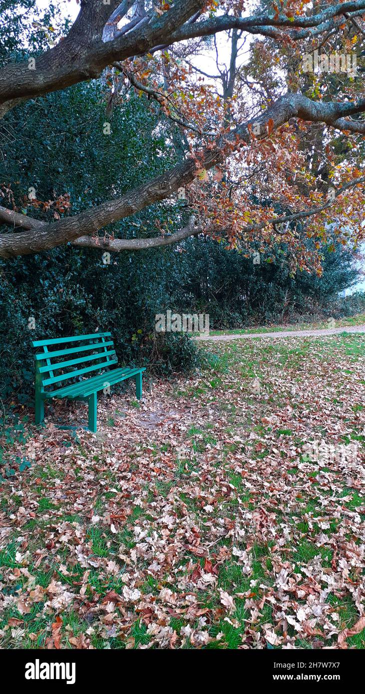 Green park bench in village green location under trees in winter uk ...