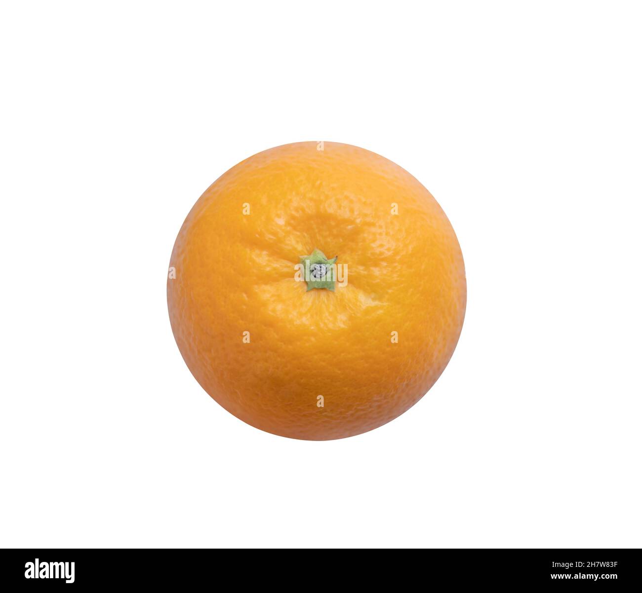 Top view of the orange fruit isolated. Fresh orange on white background ...