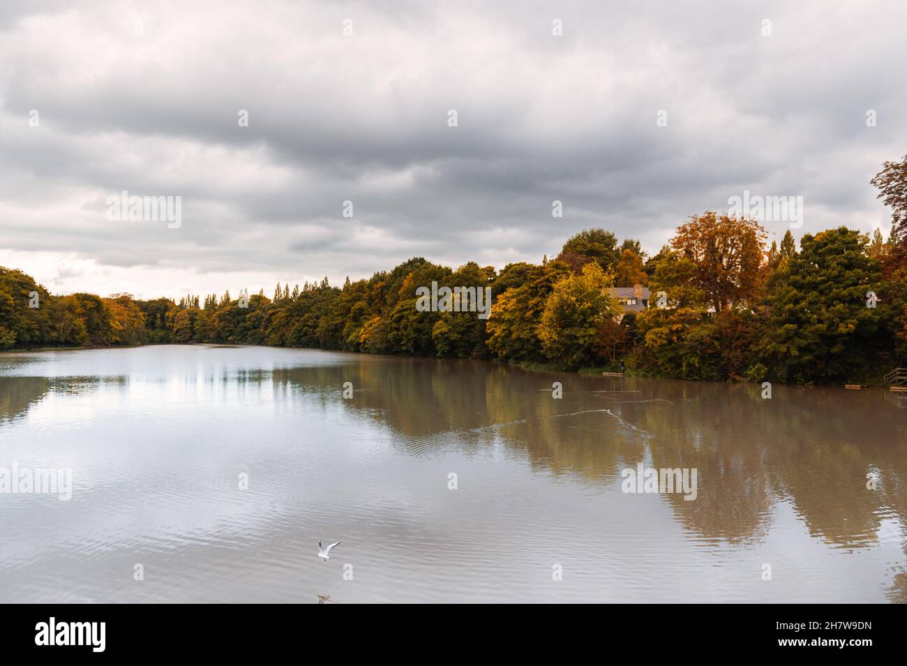 Lymm dam hi-res stock photography and images - Alamy