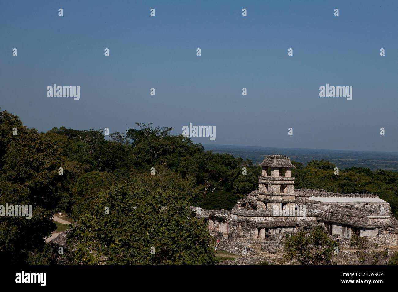 ancient mayan bas relief carvings and sculpture located on The palace ...