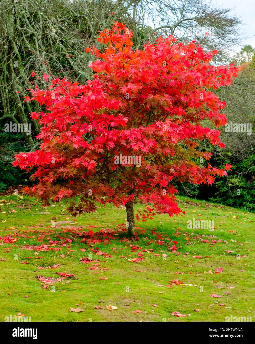 Turning colour hi-res stock photography and images - Alamy