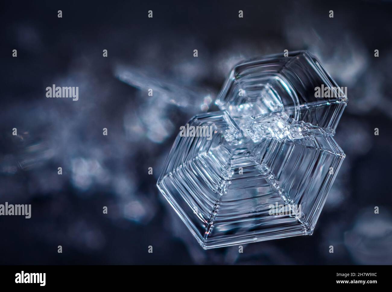 Frost Crystals On A Wooden Surface Focus Stacked Amazing Crystals Formations Of Frost Stock