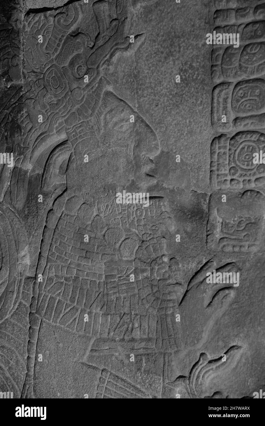 ancient mayan bas relief carvings and sculpture located in the temple ...