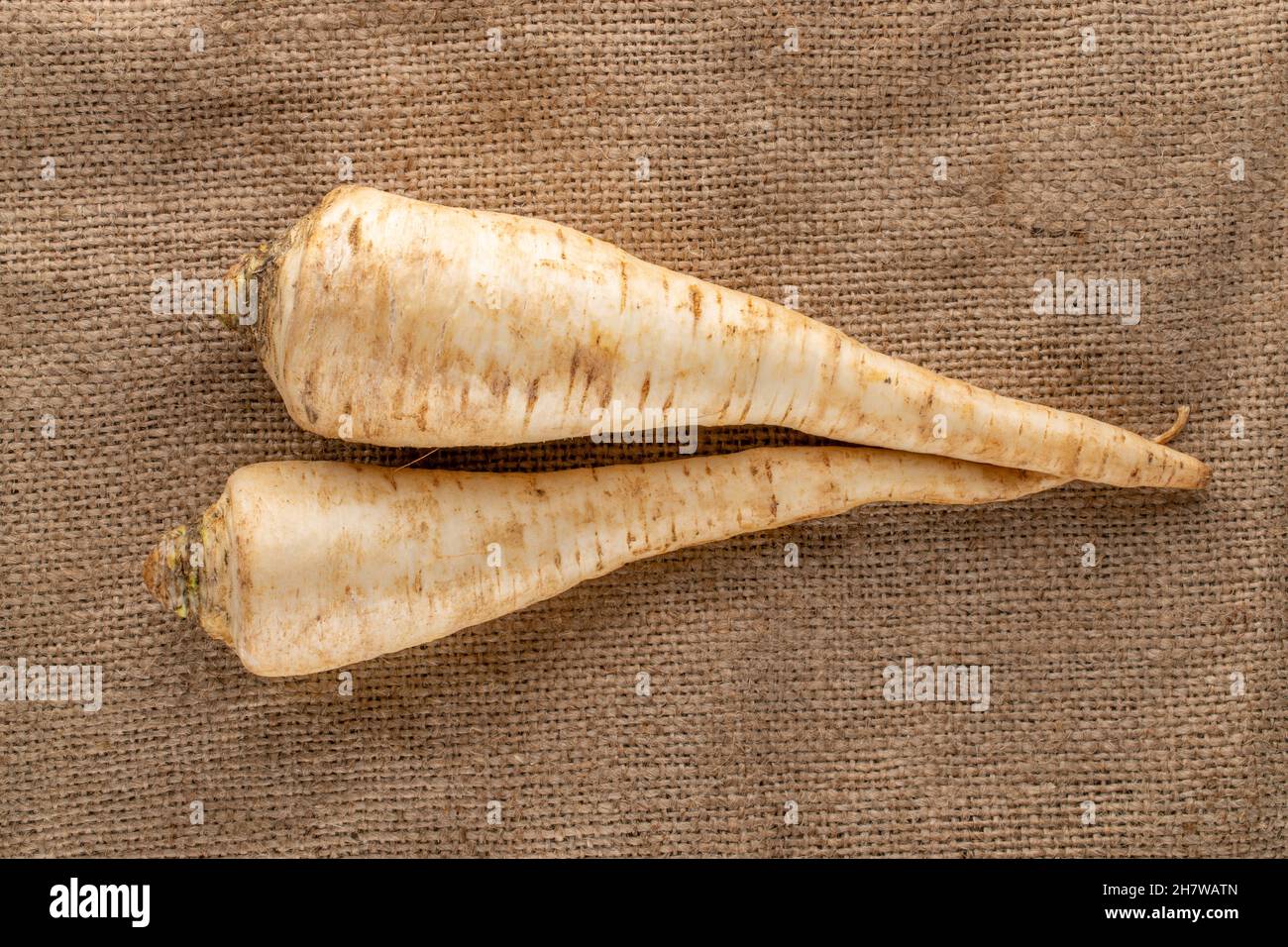 Two fragrant parsnip roots on sacking, close-up, top view Stock Photo ...