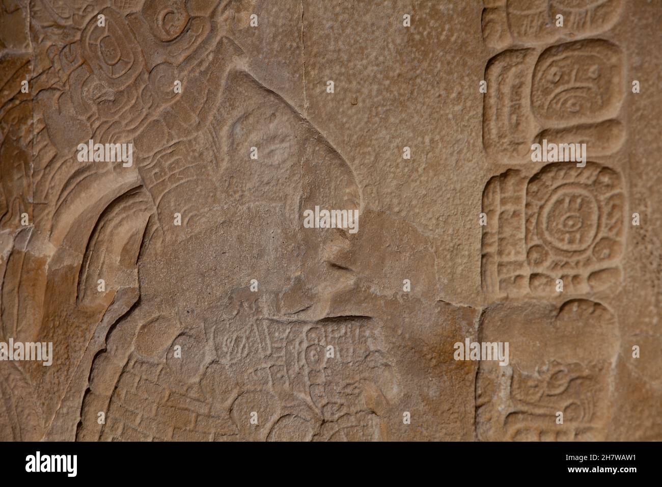 ancient mayan bas relief carvings and sculpture located in the temple ...