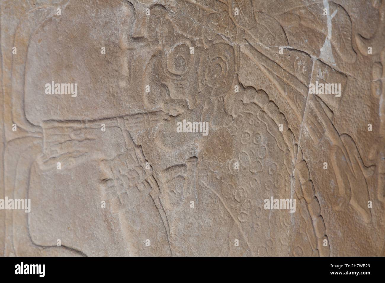 ancient mayan bas relief carvings and sculpture located in the temple ...