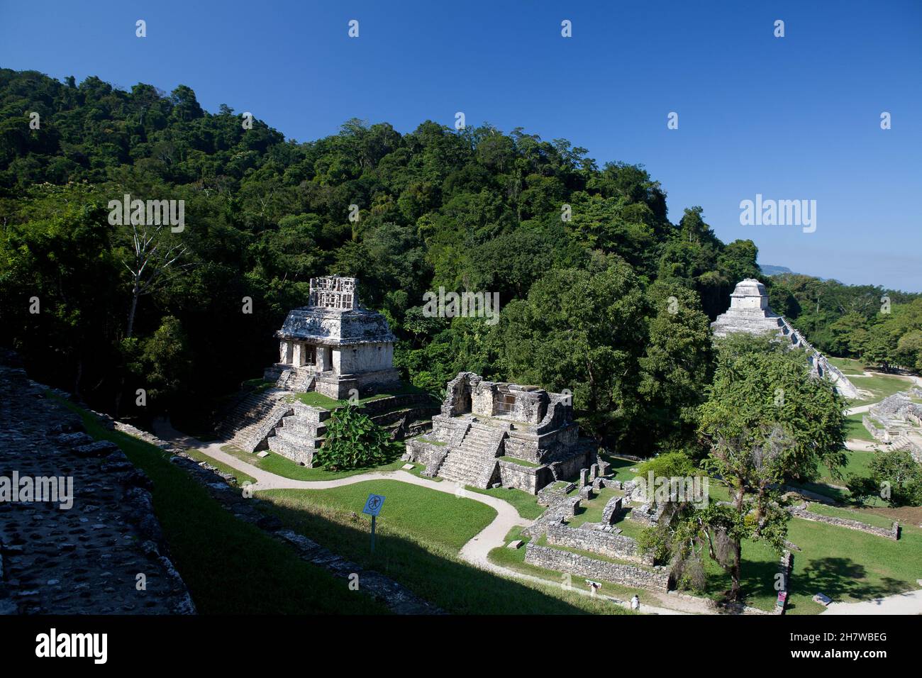 View of the Main plaza of Palenque temple of the inscriptions and the ...