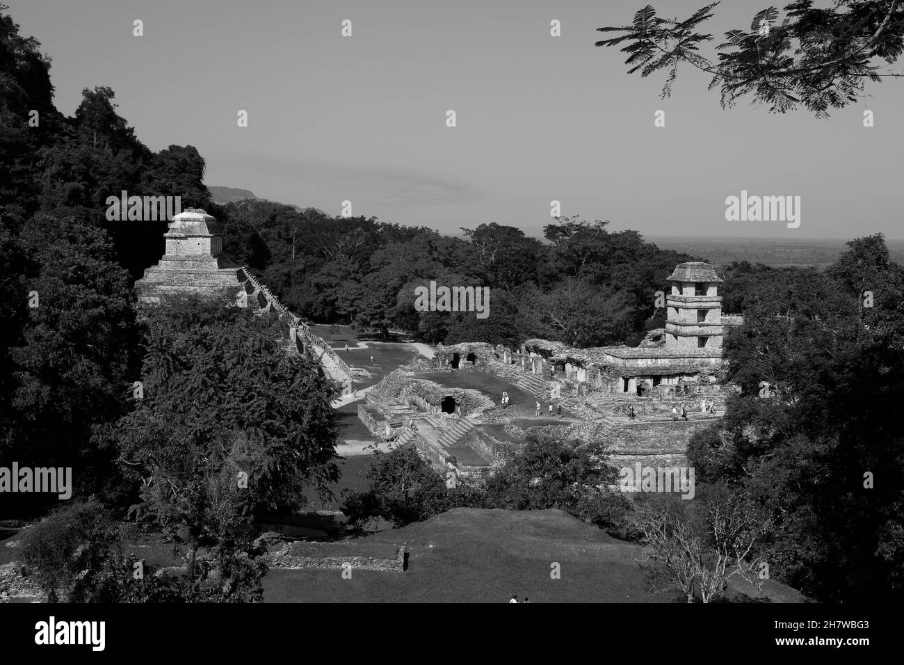View of the Main plaza of Palenque temple of the inscriptions and the ...