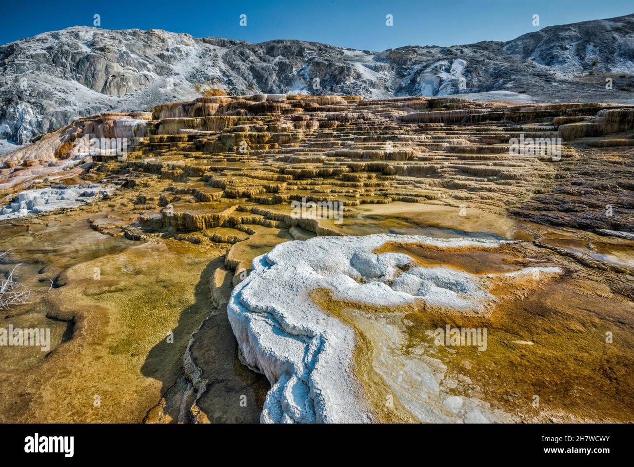 Mound Spring at Mammoth Hot Springs Terraces, Yellowstone National Park ...