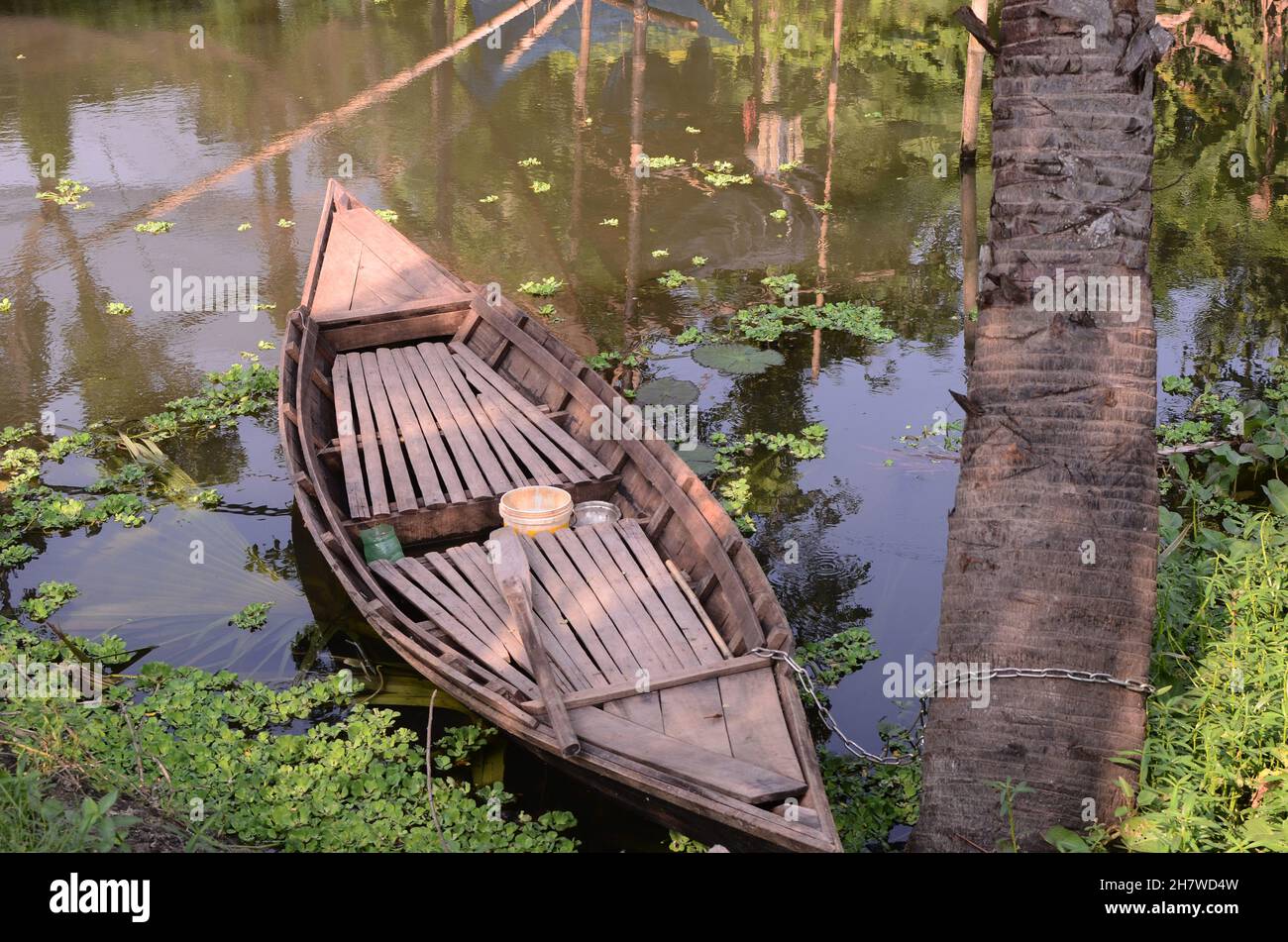 Boats are tied to palm trees in the small canal of the deep village ...