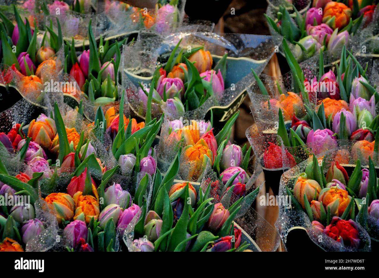 Copenhagen/Denmark./25 November 2021/ Flower bouquets display for sale ...