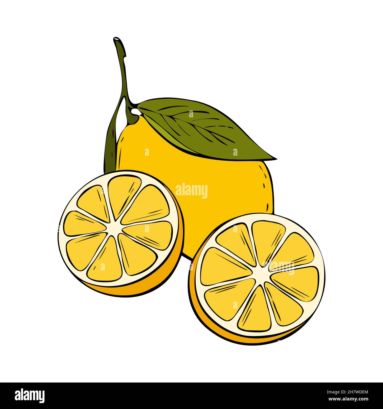 Citrus lemon fruit with leaves, cut halves of a slice, coloring hand ...