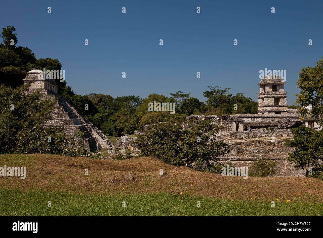 ancient mayan bas relief carvings and sculpture located on The palace ...