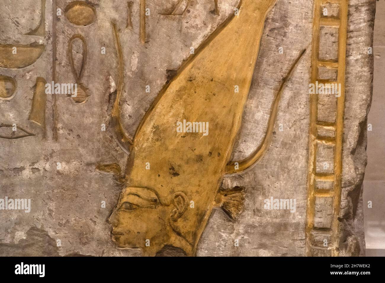 Egyptian painted bas relief close up detail Stock Photo - Alamy