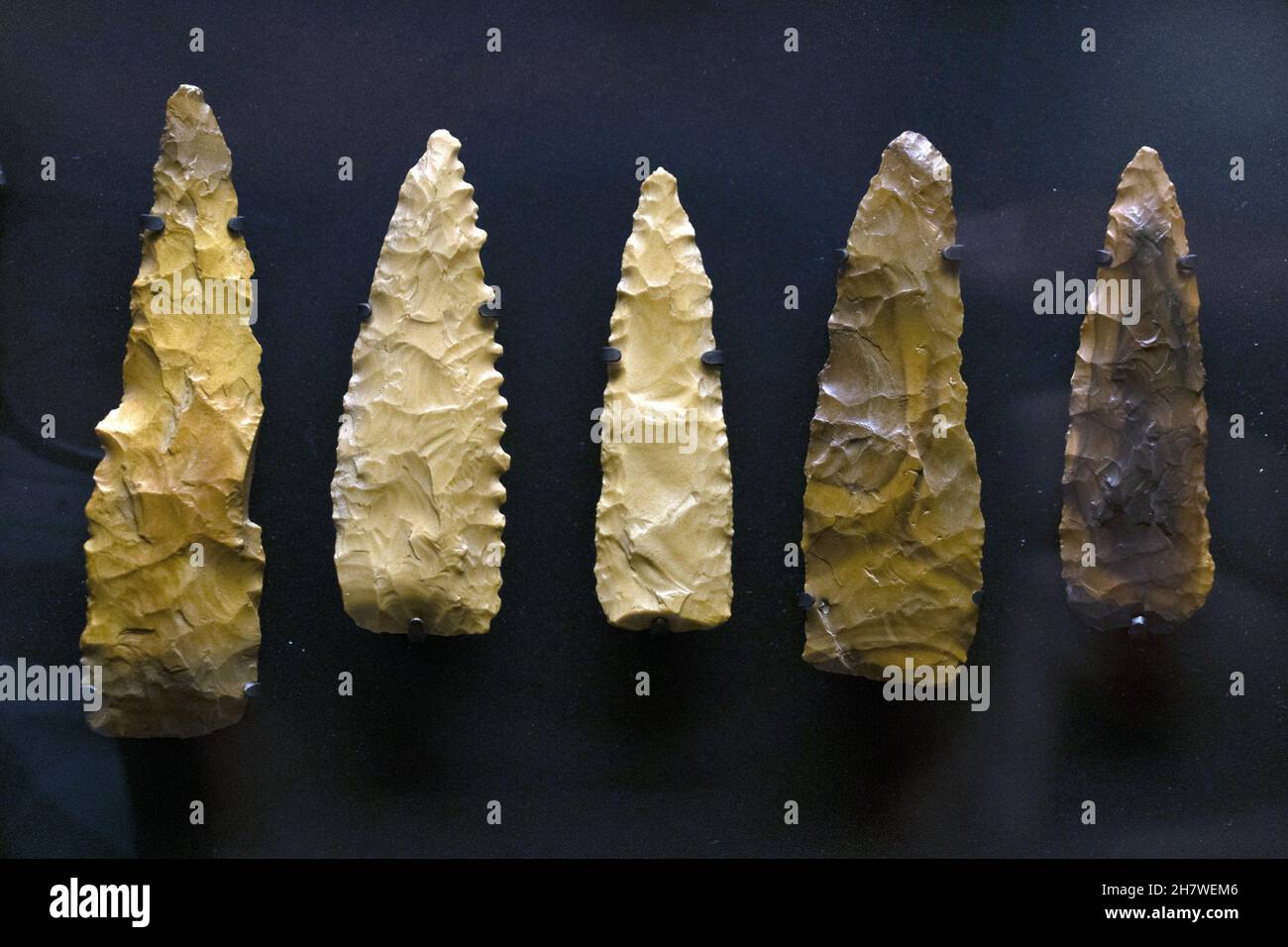 Paleolithic age hi-res stock photography and images - Alamy