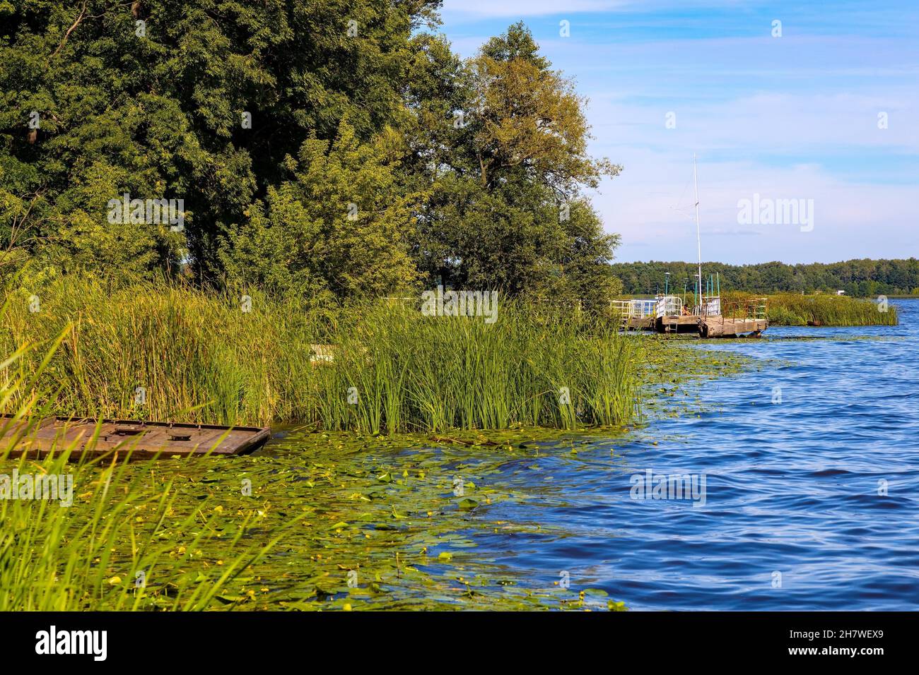Panoramic view of Zegrzynskie Reservoir Lake and Narew river with reed ...